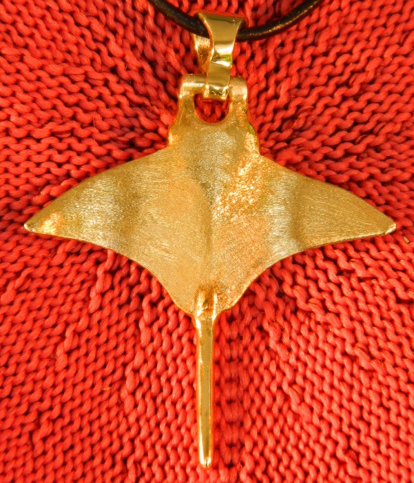 A MIGHTY MANTA RAY!!